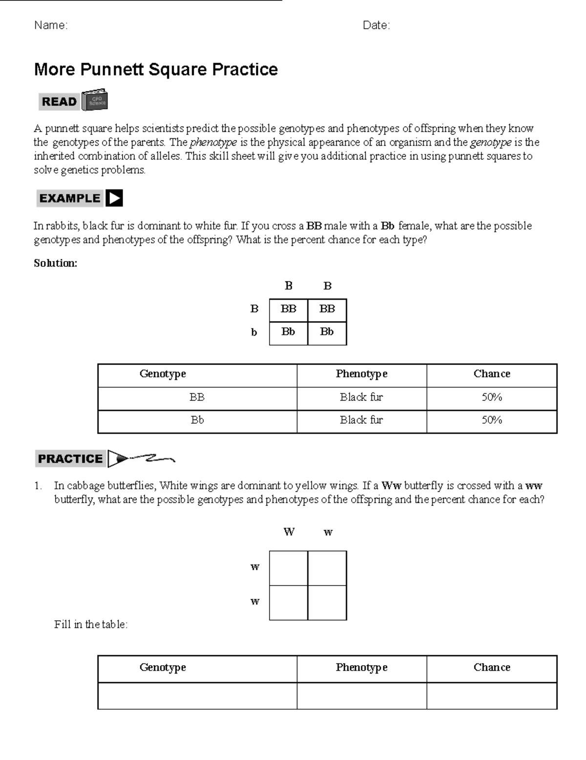 Punnet Square Practice 2 - Fill in the table: Name: Date: More Punnett ...