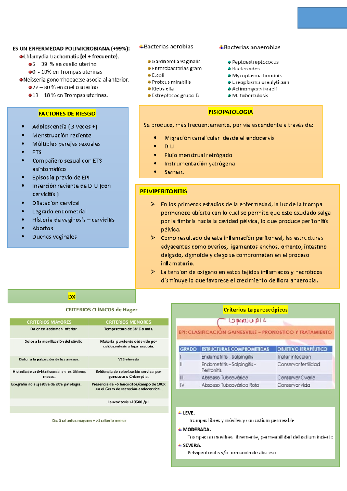 EPI 20 - enfermedad inflamatoria pelvica - EPI FISIOPATOLOGIA Se ...