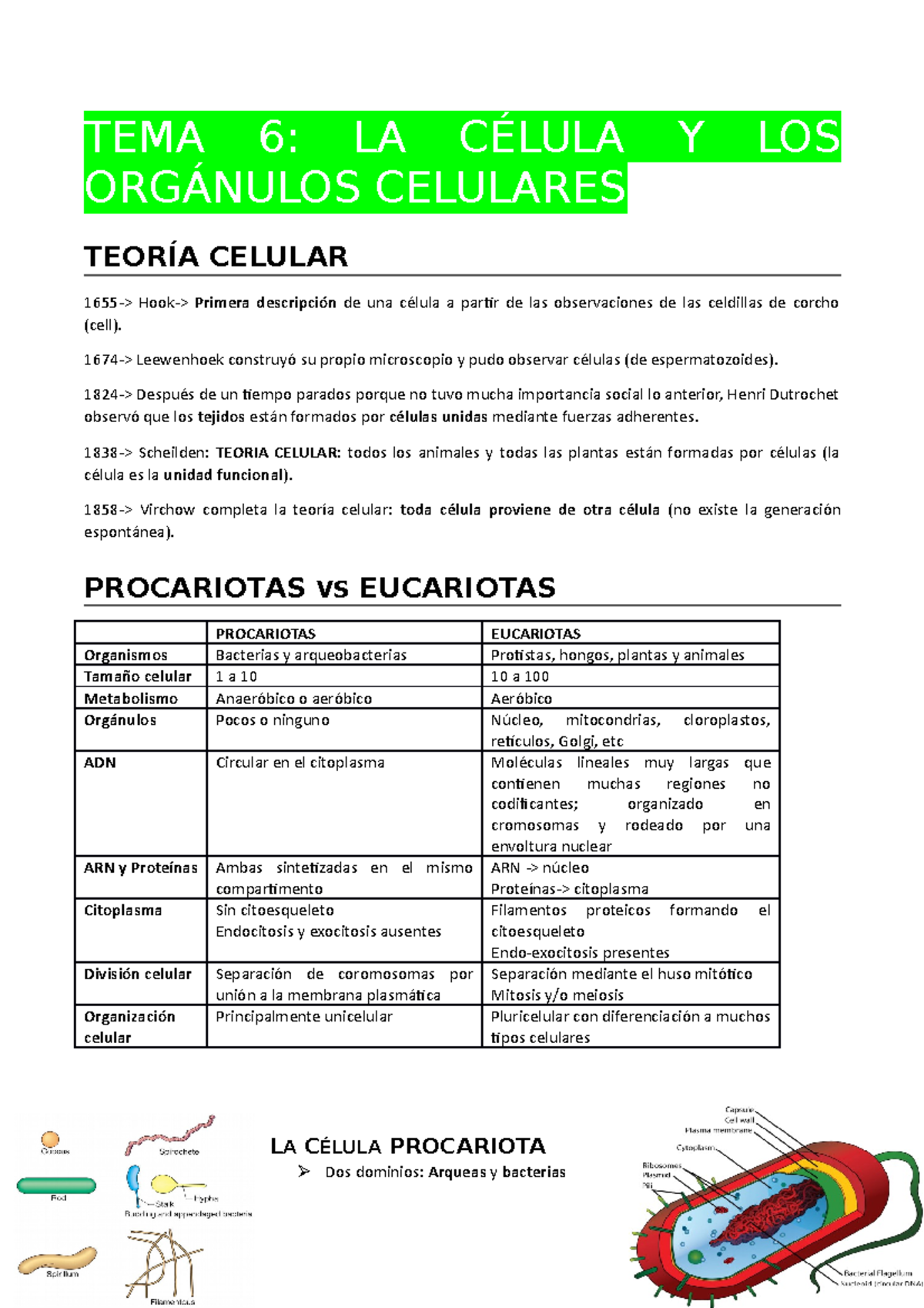 Tema6-La cèl·lula i els orgànuls cel·lulars - TEMA 6: LA CÉLULA Y LOS ...