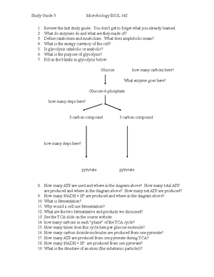 [Solved] The following graph plots the marginal cost MC curve average ...