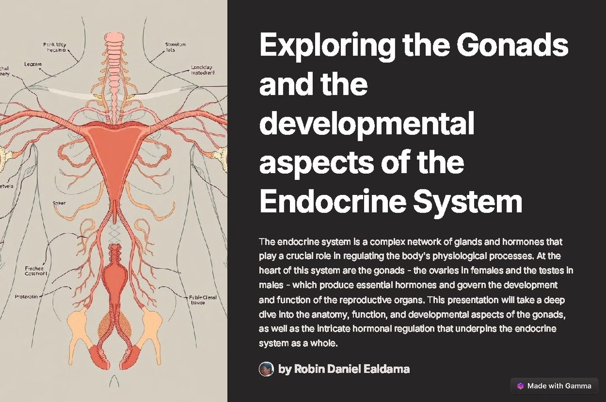 Exploring-the-Gonads-and-the-developmental-aspects-of-the-Endocrine ...