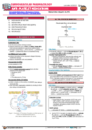 Gram Positive Negative Flow Chart Summer 2020 - Gram Positive ...