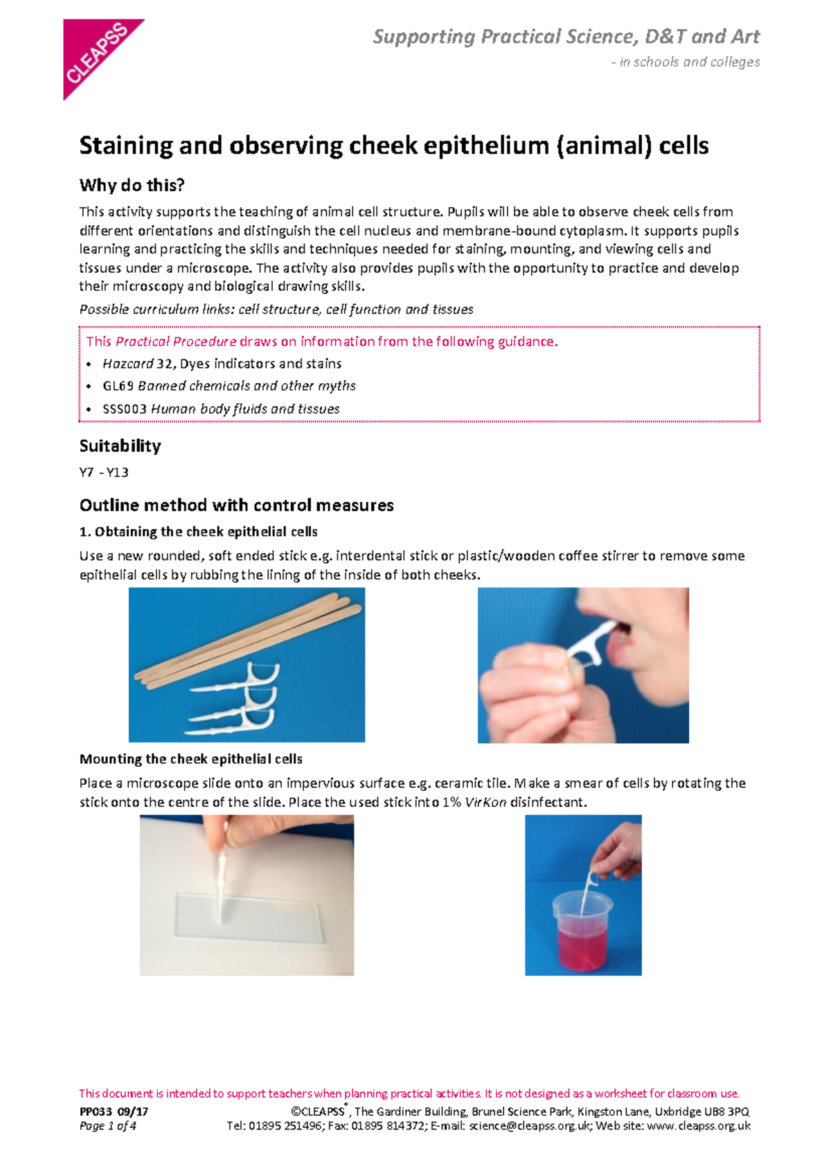 PP033 Staining and observing cheek epithelial cells - Supporting ...