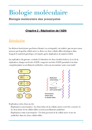 Fiche sur les jonctions cellulaires - 1 Jonction d’ancrage/d’adhésion L ...