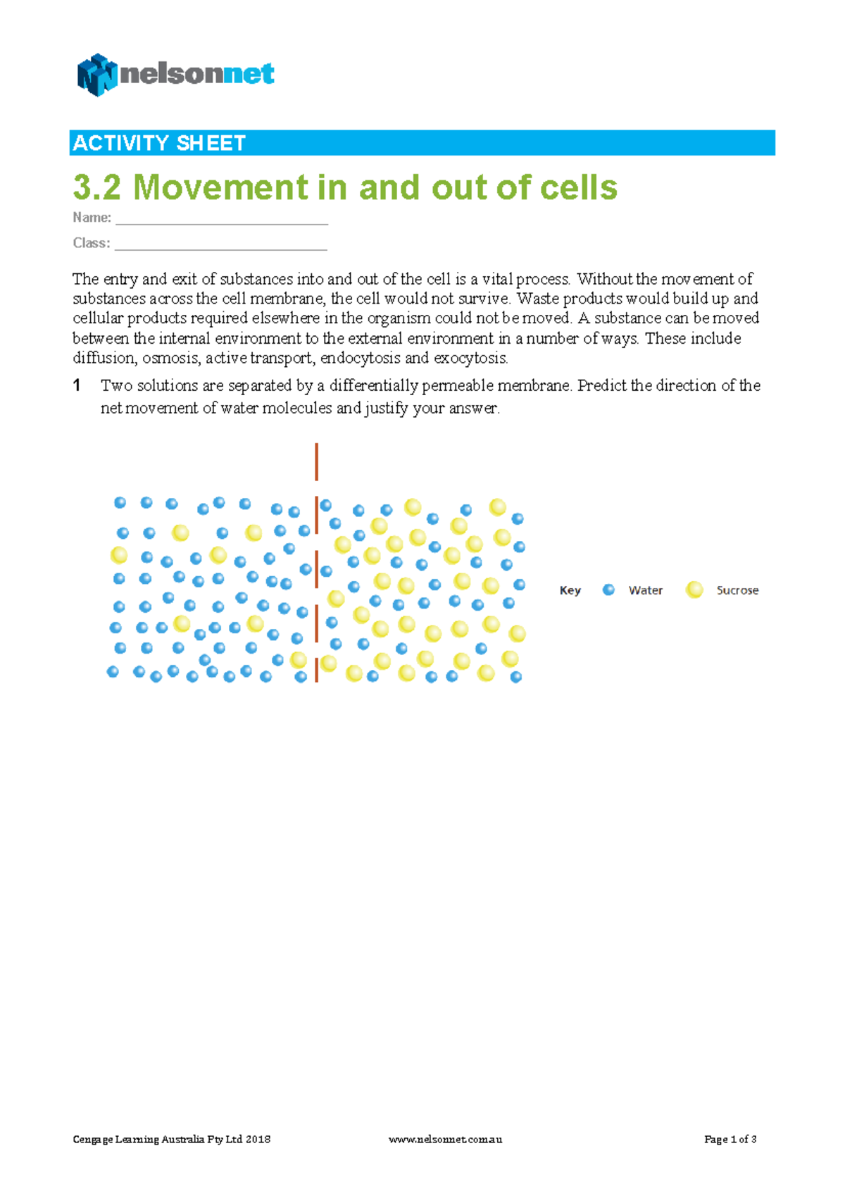 Movement in and out of cells - Without the movement of substances ...
