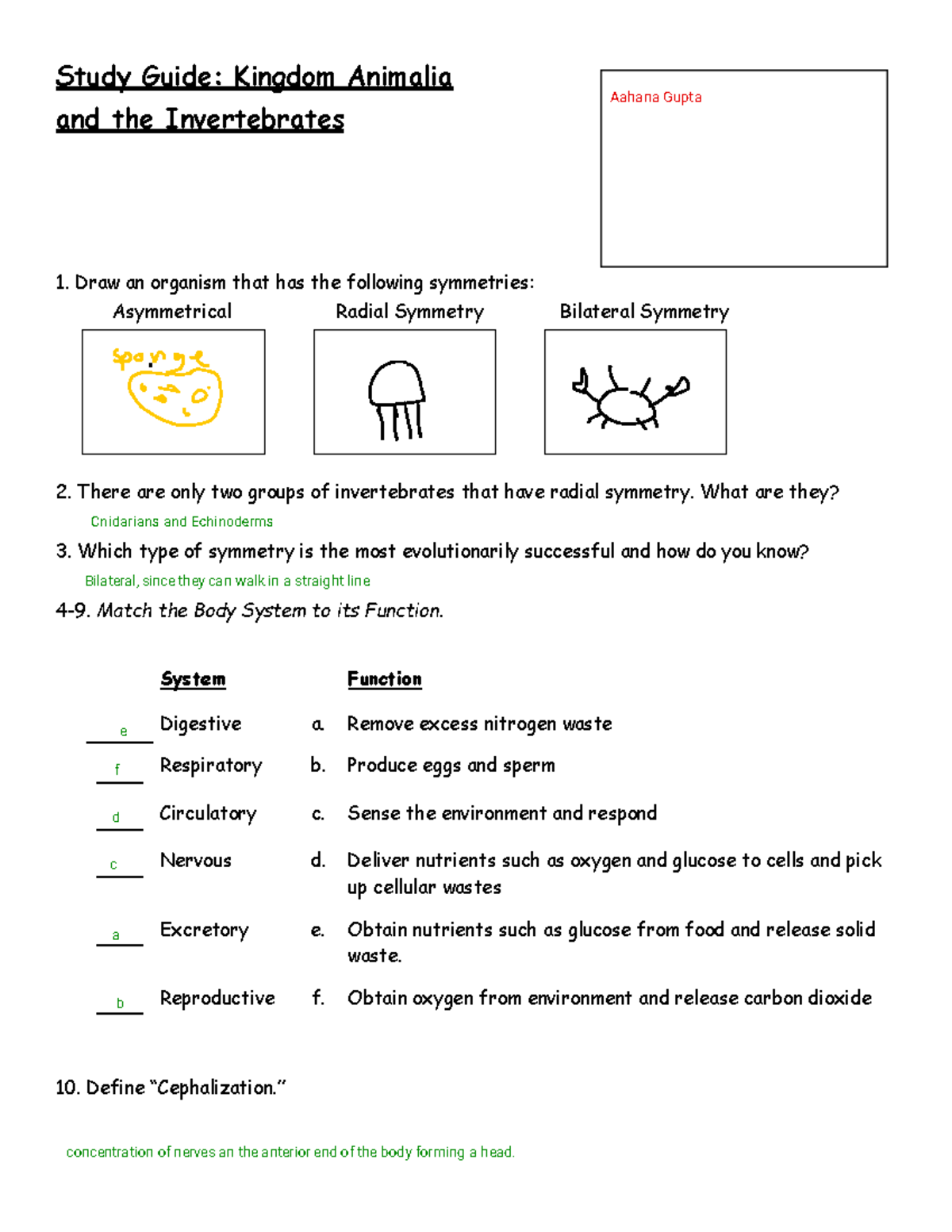 Study Guide Invertebrates - Study Guide: Kingdom Animalia and the ...