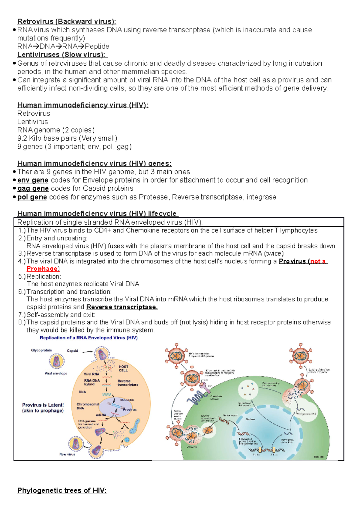 CELS 191 - Lecture 34 (Evolution in Medicine) - Retrovirus (Backward ...