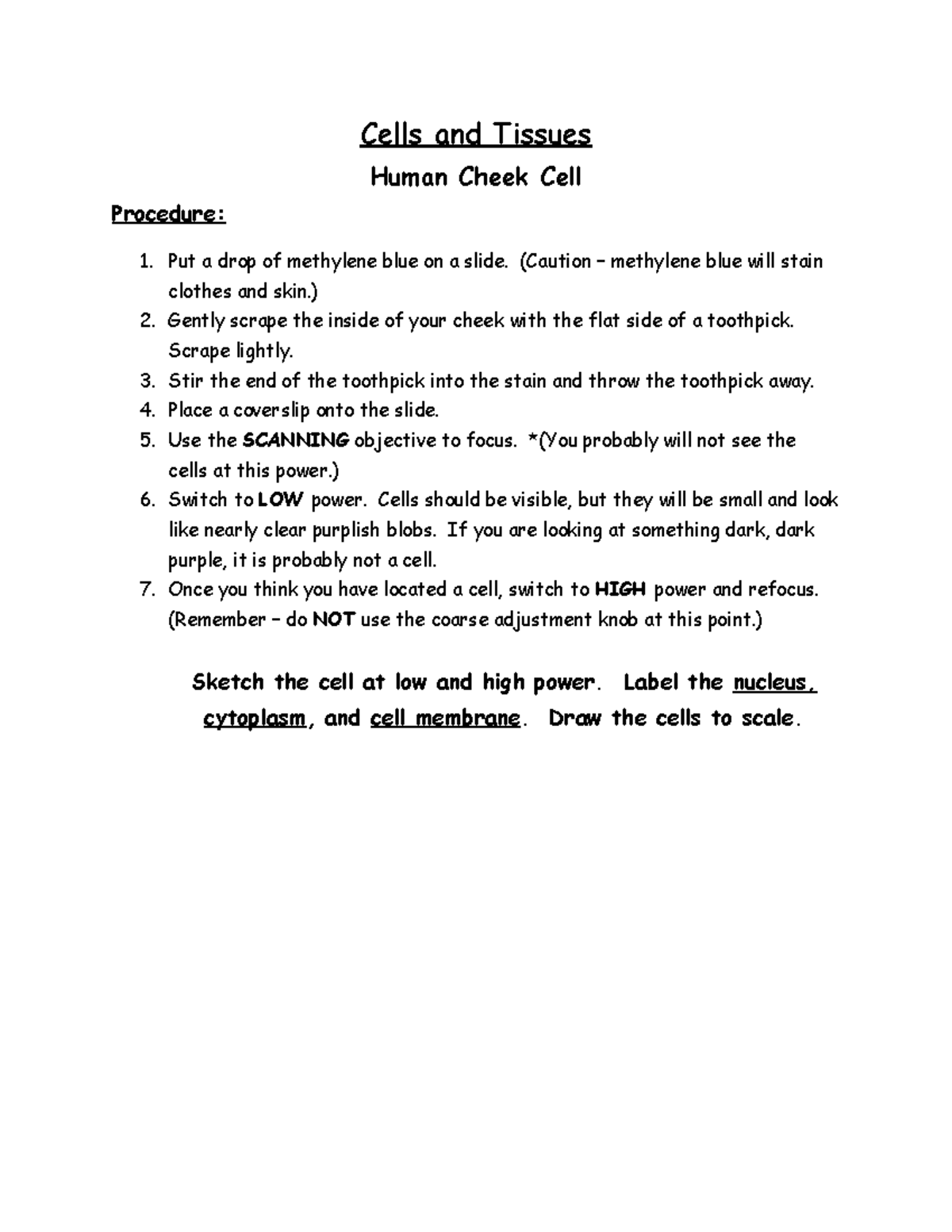 Intro A P Cheek Wrist Cell Lab - Cells and Tissues Human Cheek Cell ...