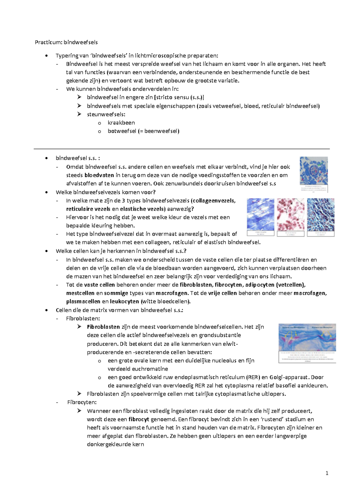 Practicum bindweefsel - Practicum: bindweefsels Typering van ...