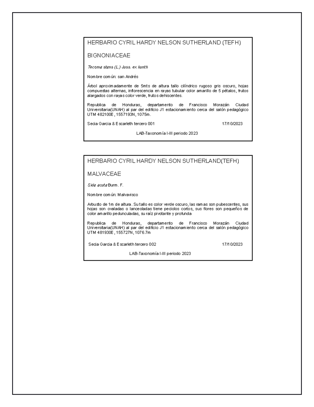 Taxo - fichas de taxonomia - HERBARIO CYRIL HARDY NELSON SUTHERLAND ...