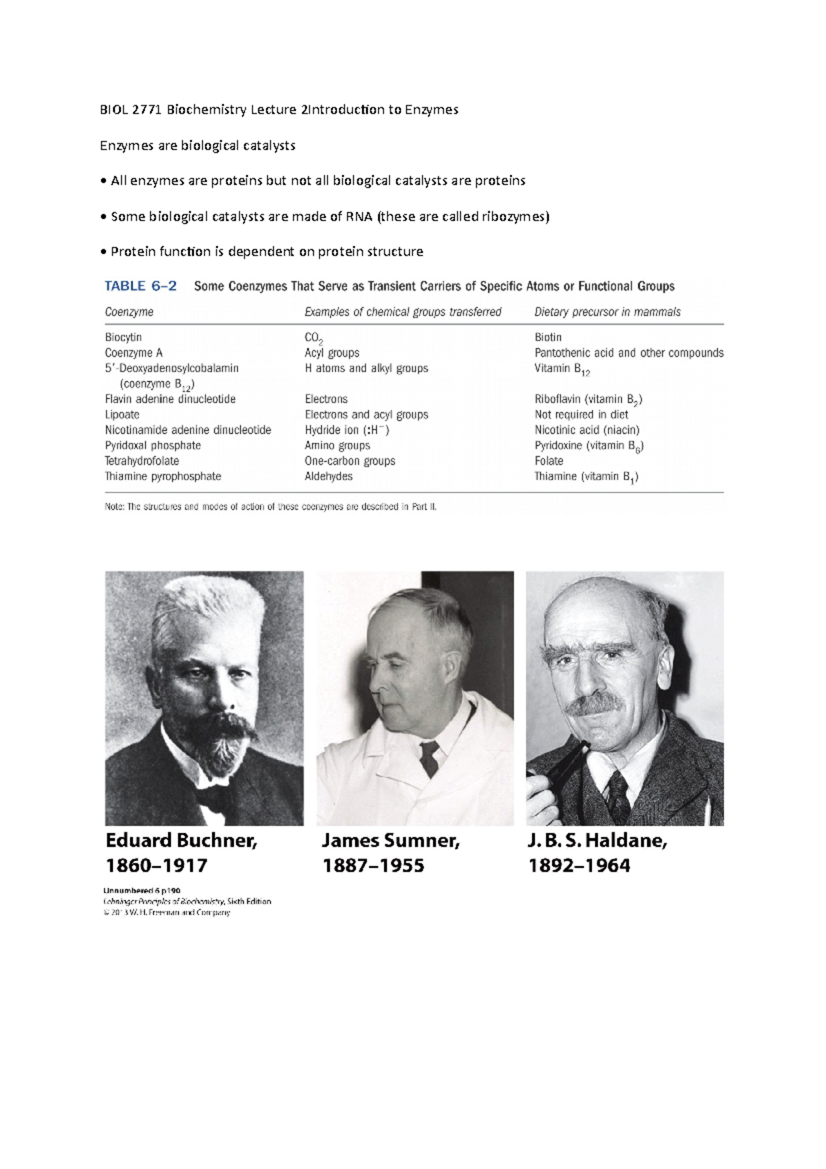 L2 2016 Introduction to Enzymes notes - BIOL 2771 Biochemistry Lecture ...