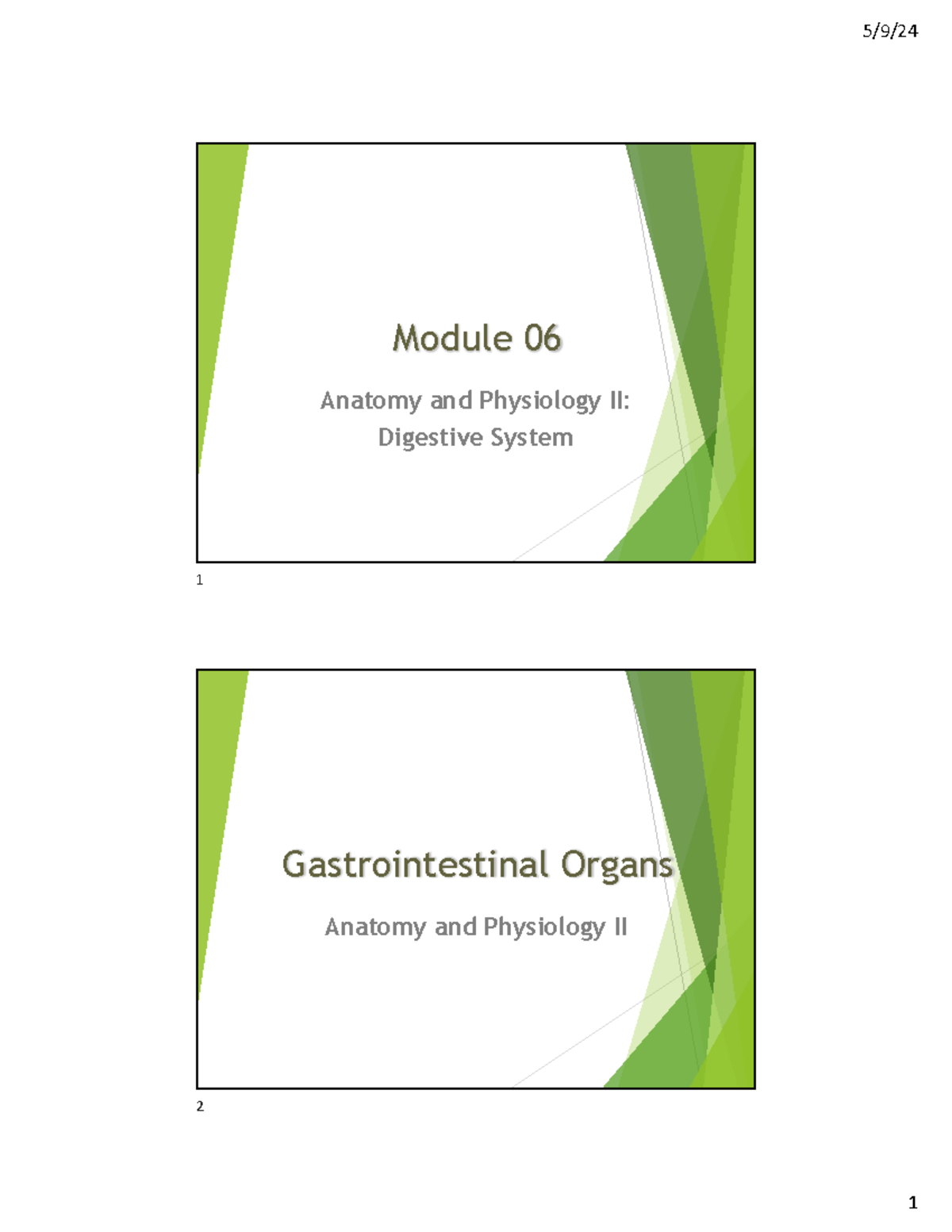 Student Module 06 Digestive System - Module 06 Anatomy and Physiology ...