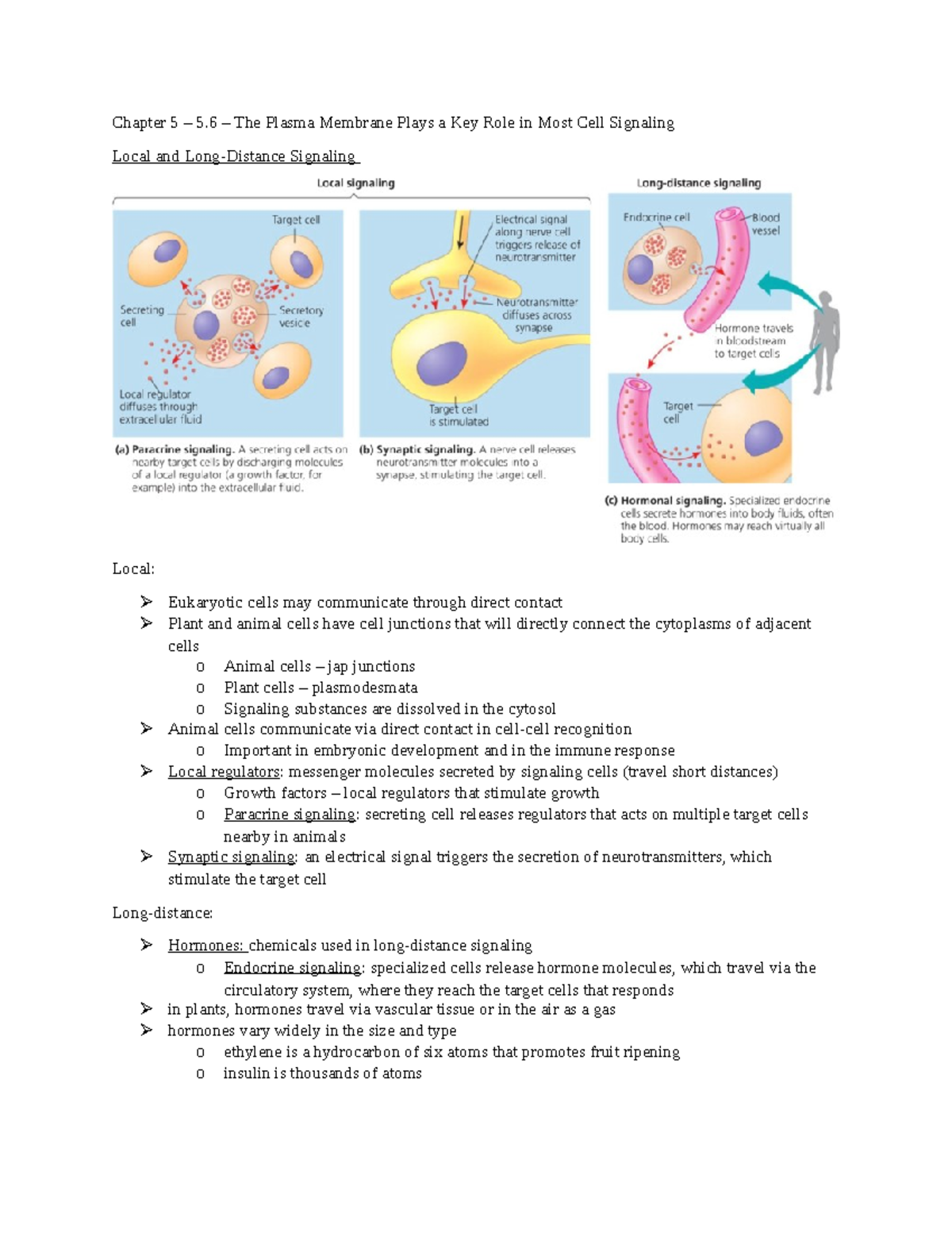 Cell Communication Notes Chapter 5.6 31.1 32 - Chapter 5 – 5 – The ...