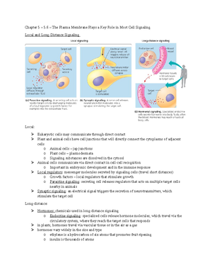 AP Biology Chapter 4 Notes - Valhalla High School Name ...