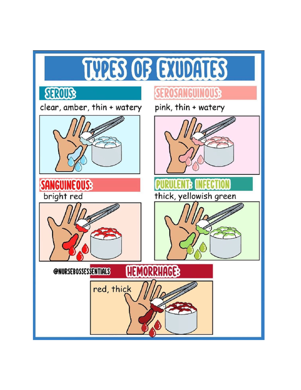 Types of exudates - supplemental material - NRSG 110 - TYPES OF ...