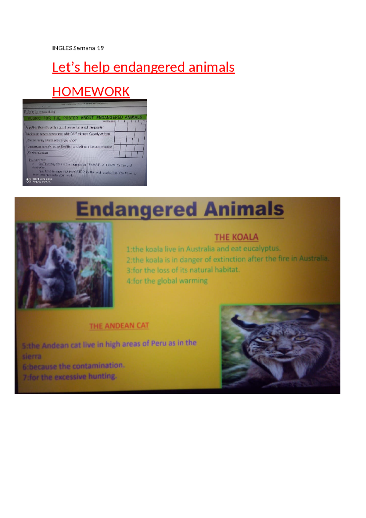 Ingles Semana 19 - practica - help endangered animals HOMEWORK Rubric ...