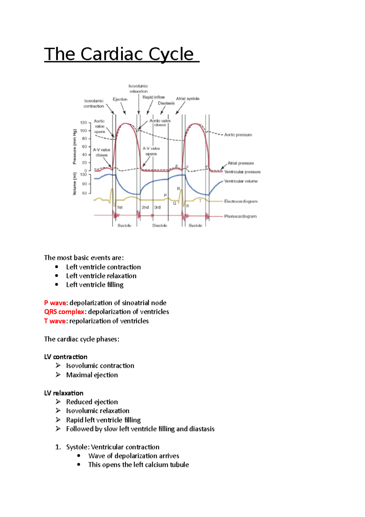 The Cardiac Cycle - Medicine 1st year notes - The Cardiac Cycle The ...