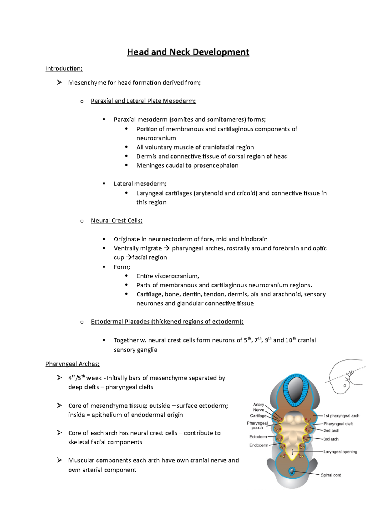 Head and Neck - Head and Neck - Head and Neck Development Introducion ...