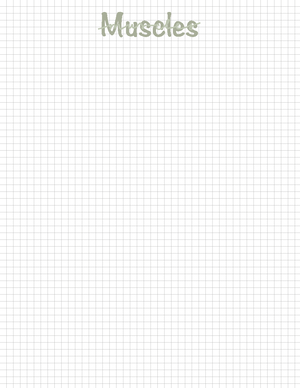 Pogil - study guide for muscle contraction - 35 Muscle Contraction ...