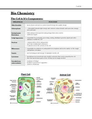 Unit 1 quiz 1 2021 - Practice quiz for unit 1 of grade 12 biology ...