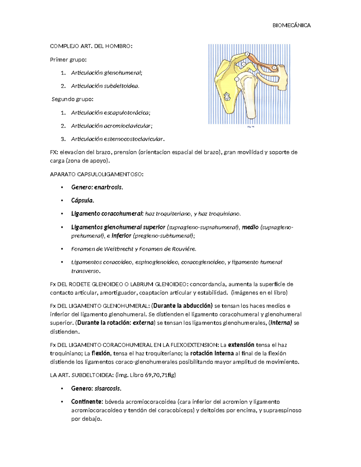 2da clase- Complejo ART. DEL Hombro - BIOMECÁNICA COMPLEJO ART. DEL HOMBRO: Primer grupo: 1 ...