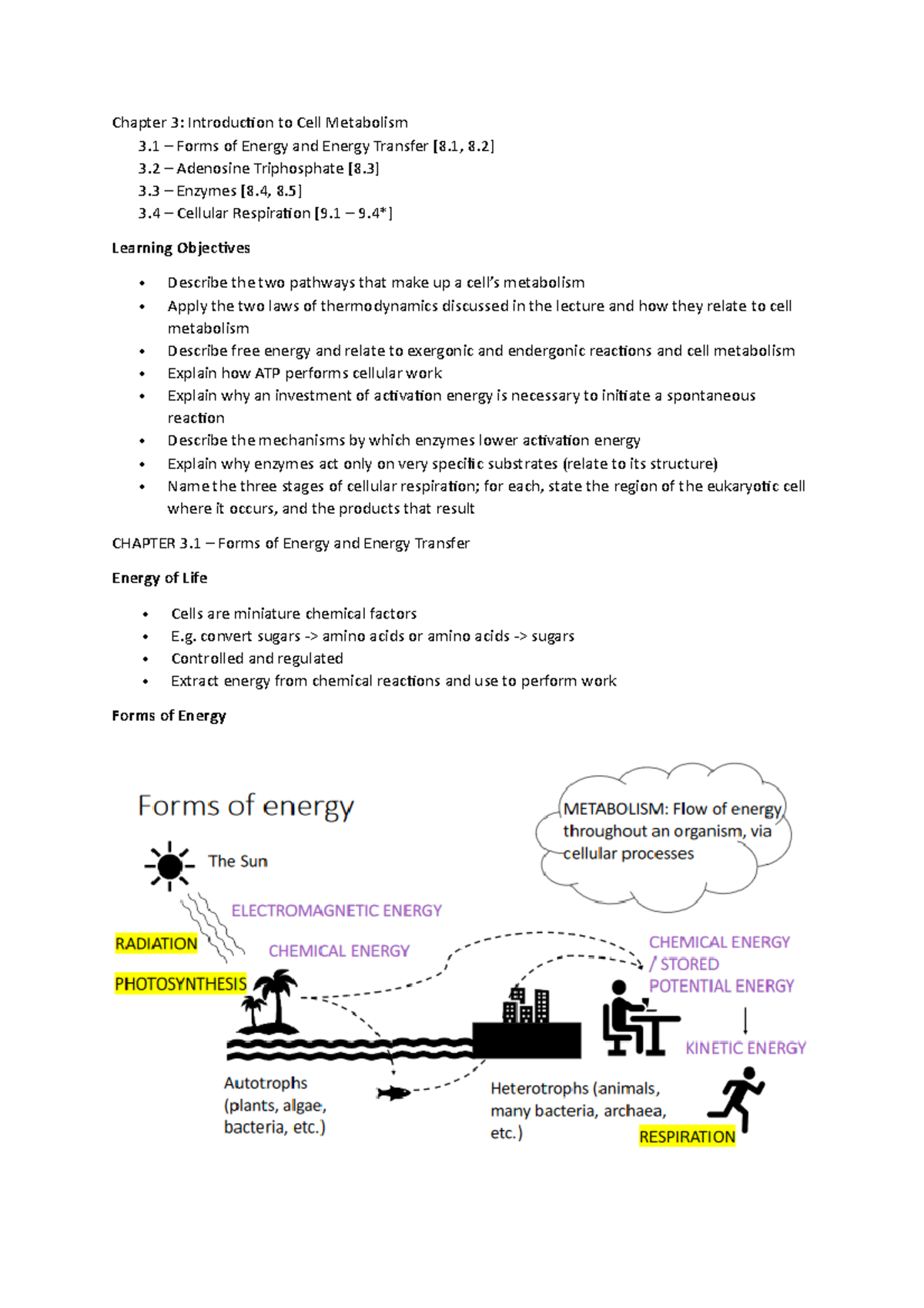 LFS100 - CH3 - Lecture notes 3 - Chapter 3: Introduction to Cell ...