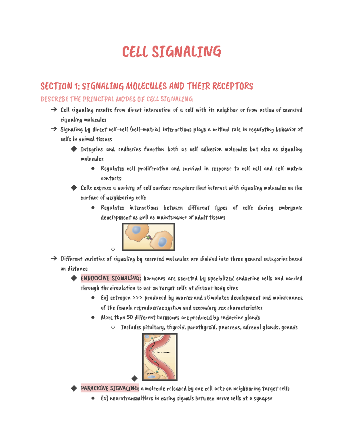 Chapter 17 - Cell Signaling - CEćĆ SĂĆĂĞLIăą SEĕåĂĀN 1: ìIąNġćāĂG ...