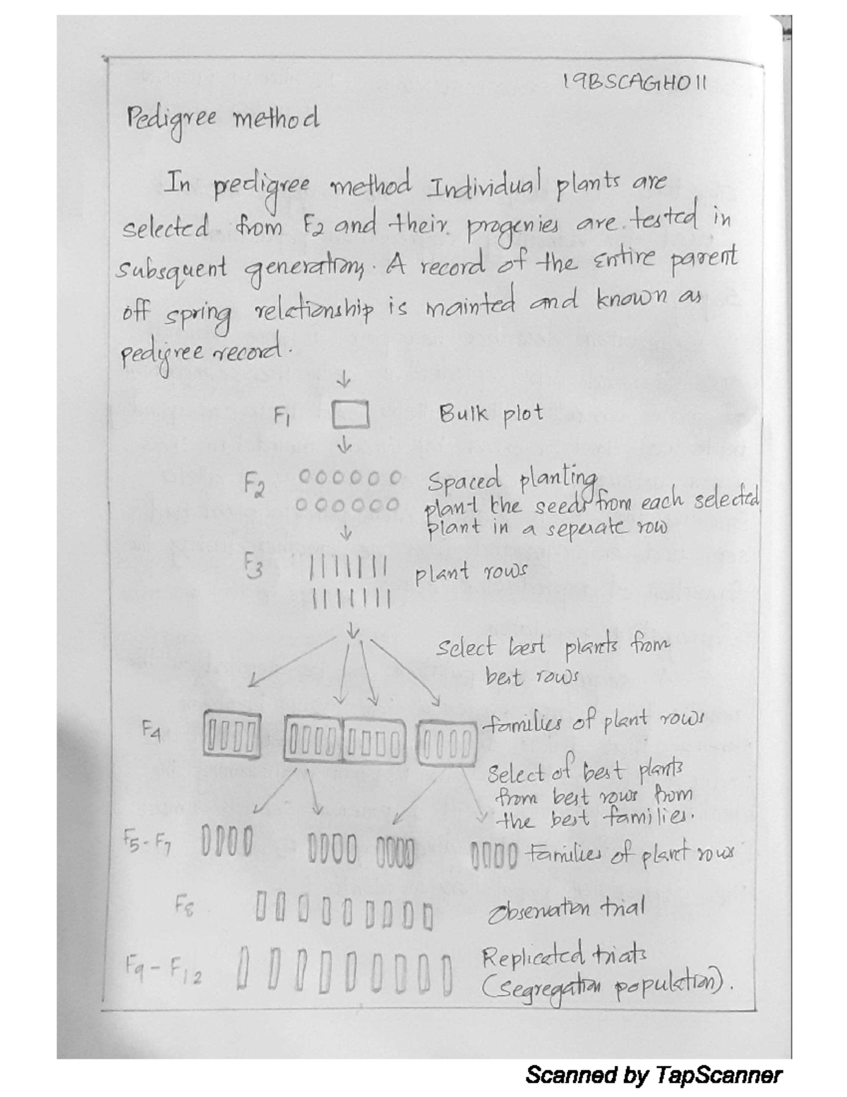 Pedigree method - Genetics - Studocu