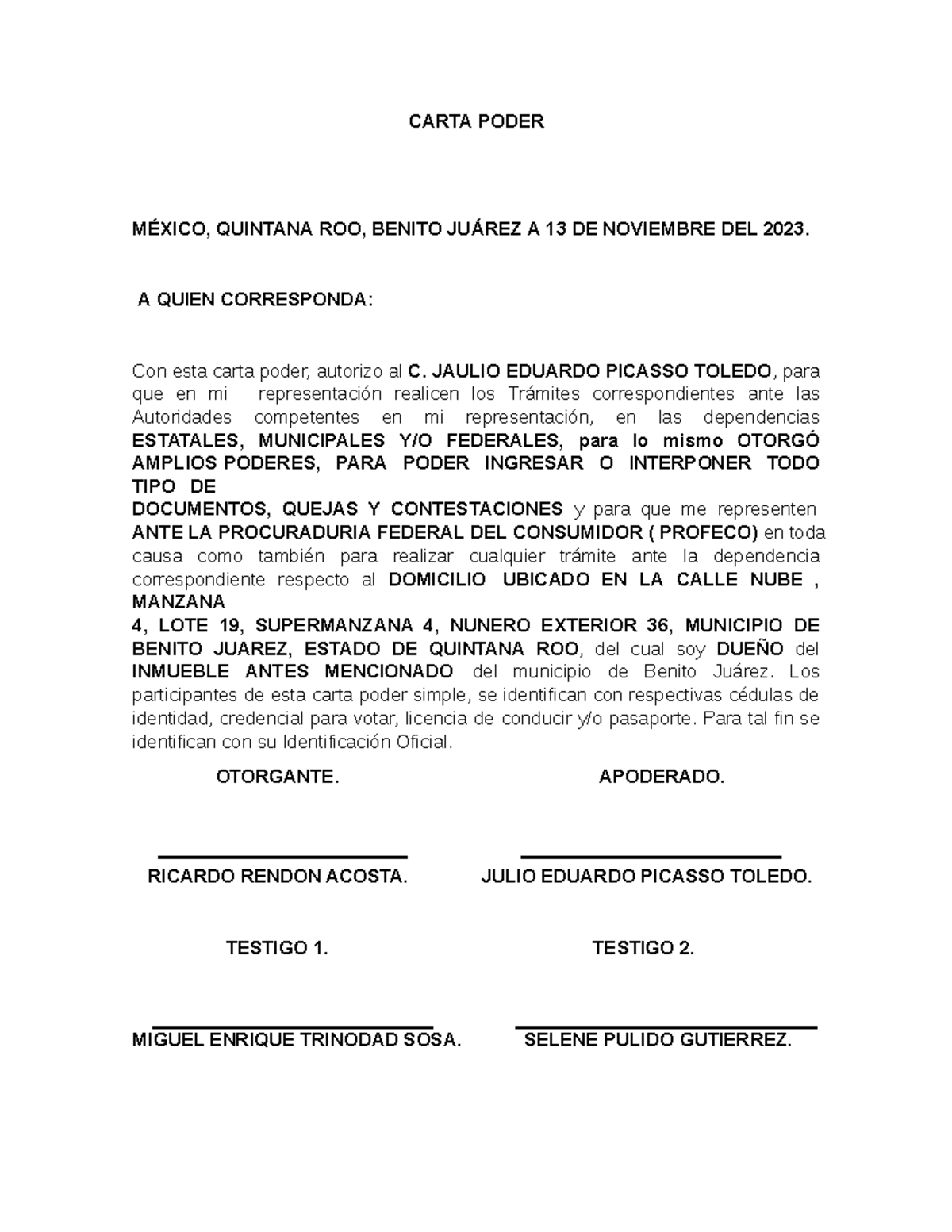 Carta Poder Señor Javier CFE - CARTA PODER MÉXICO, QUINTANA ROO, BENITO ...