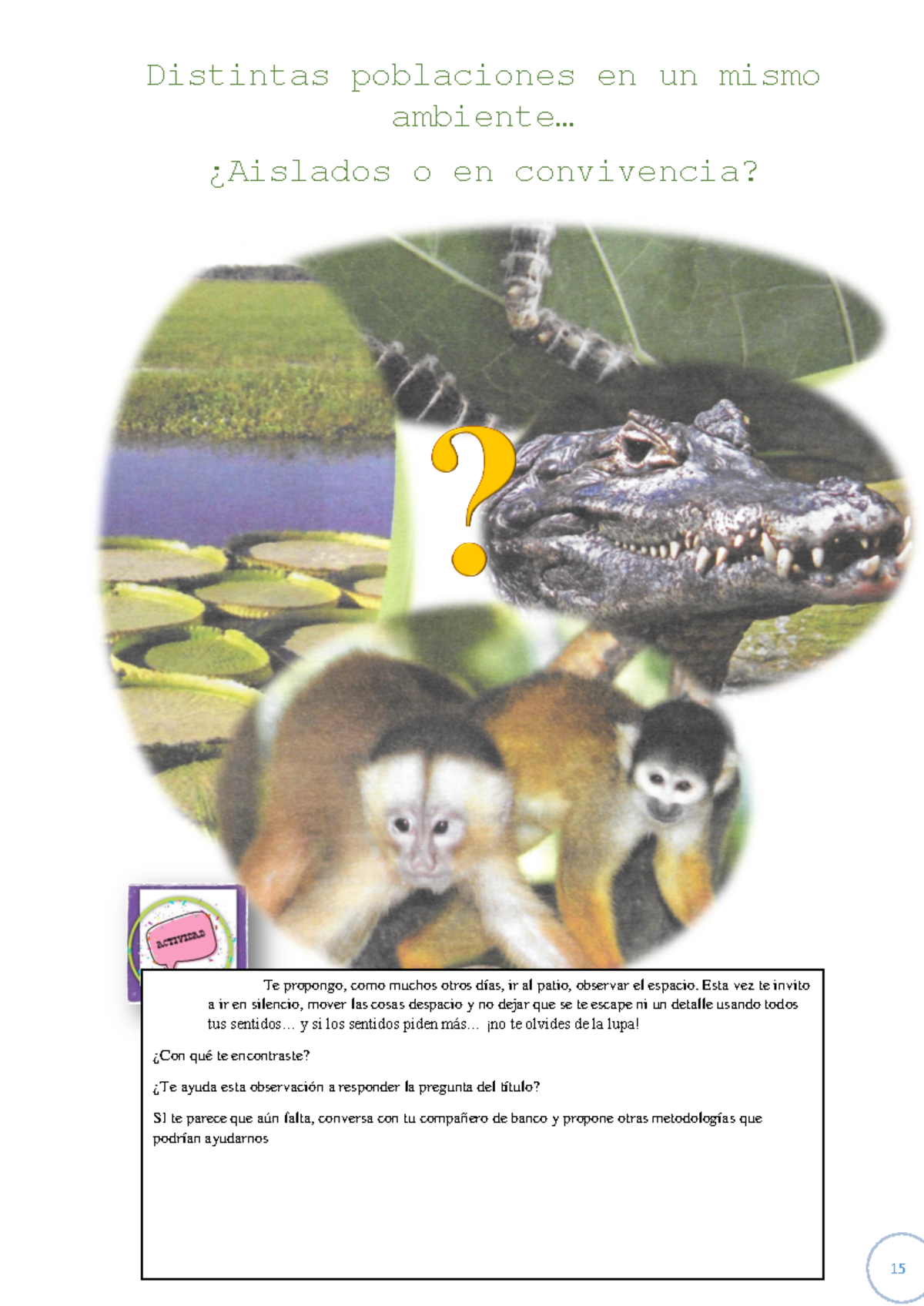 Seres Vivos - Biodiversidad - Distintas poblaciones en un mismo ...