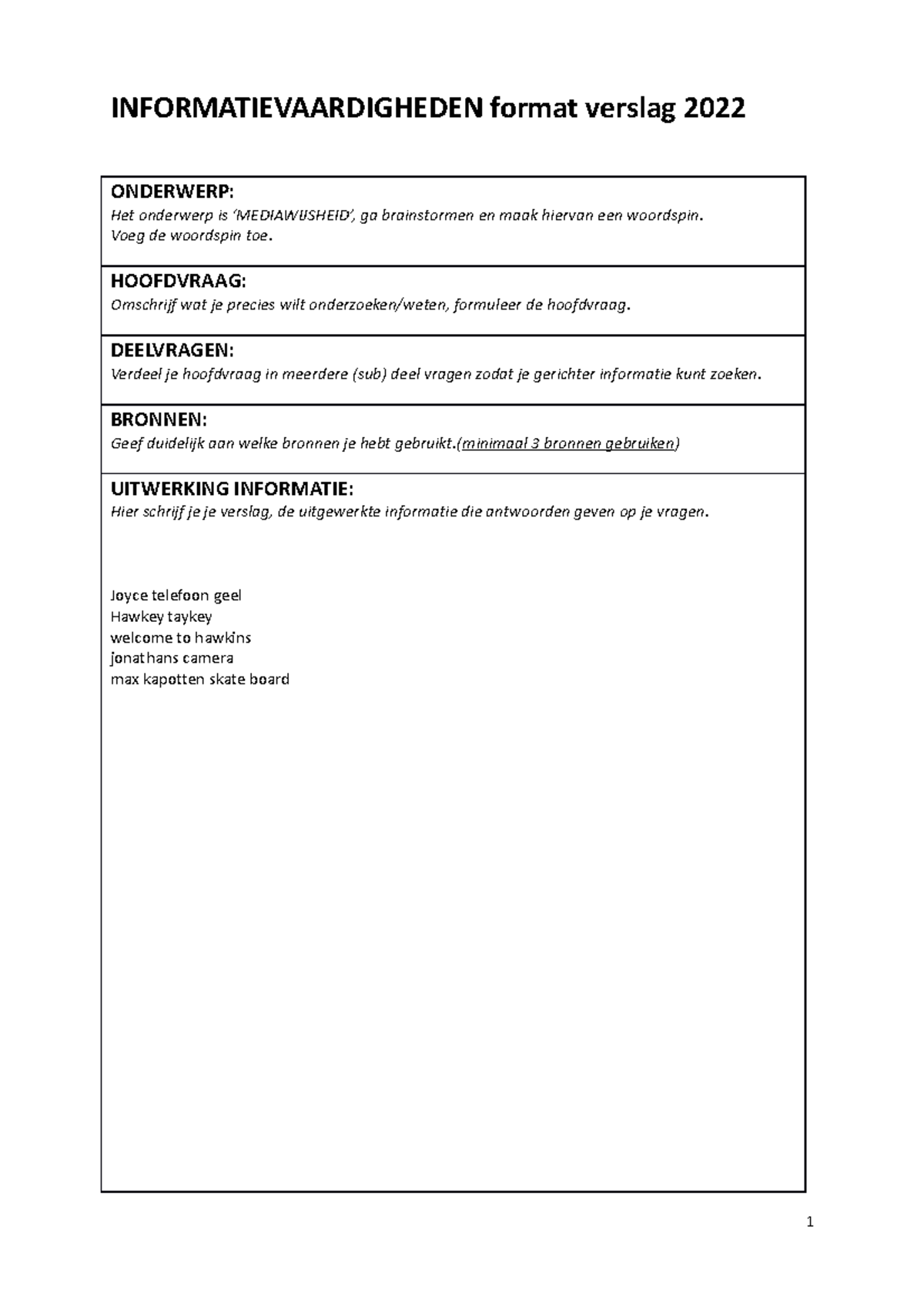 Infovaardigheden format verslag 2022 - INFORMATIEVAARDIGHEDEN format ...