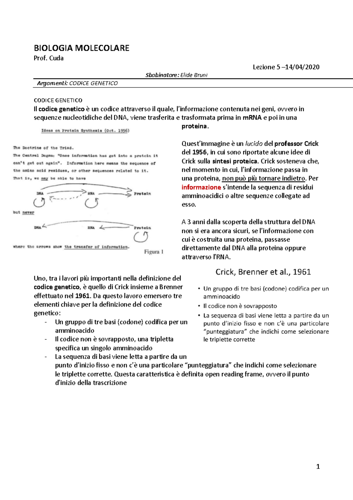 Lezione 5-Biologia Molecolare-Cuda - Warning: TT: undefined function: 32 Warning: TT: undefined ...