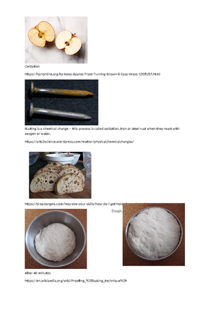 3. NLC Daily Attendance Sheets - mathematika - Attachment 2. Authentic ...