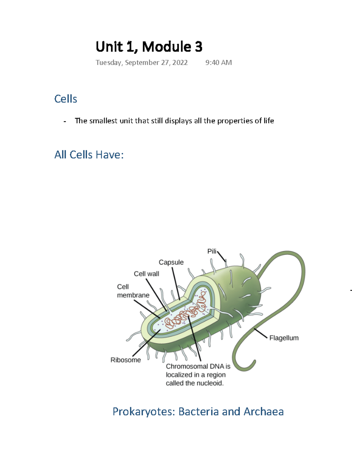 Unit 1, Module 3 - Well organized lecture notes taken in person ...