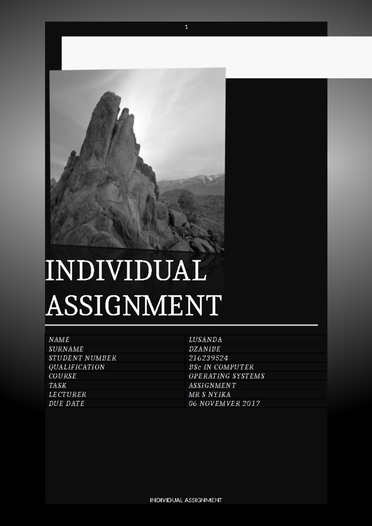 Assignment 2 216239524 - INDIVIDUAL ASSIGNMENT NAME LUSANDA SURNAME ...