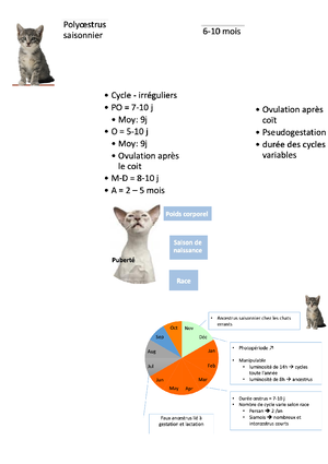 Physsio reproduction - resume theorie - Resume : physiologie de la ...