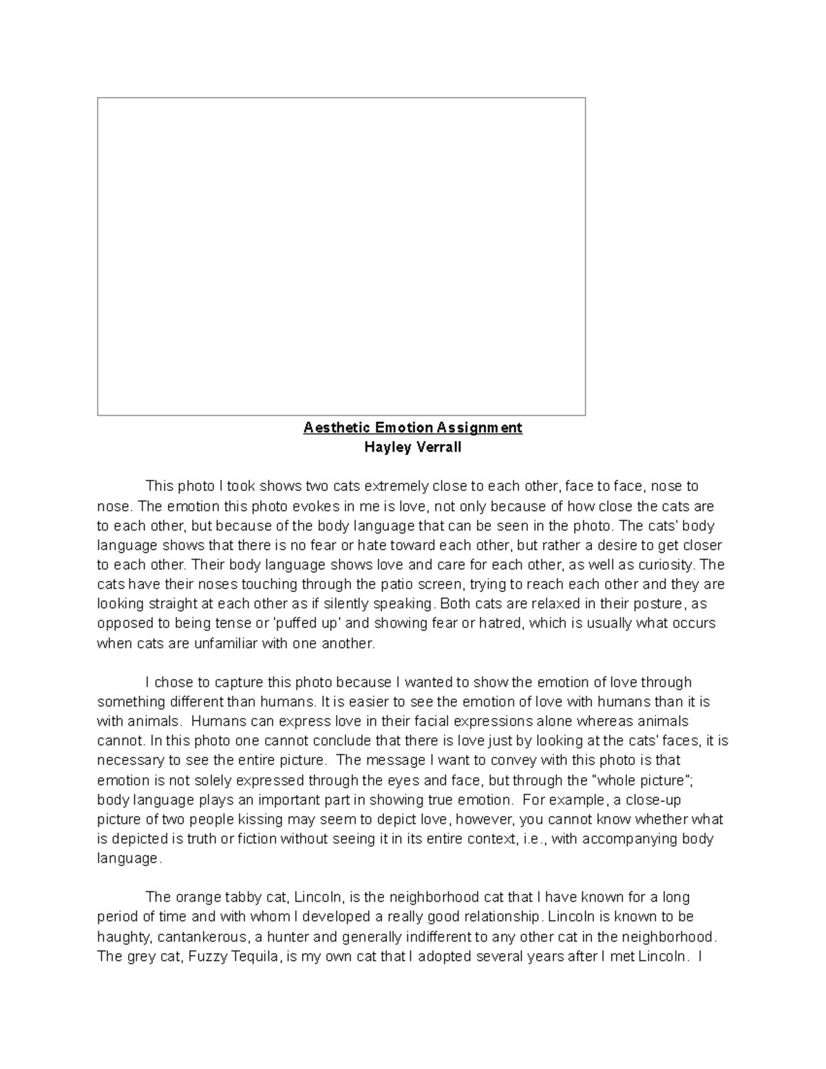 Aesthetic Emotion Assignment - Aesthetic Emotion Assignment Hayley ...