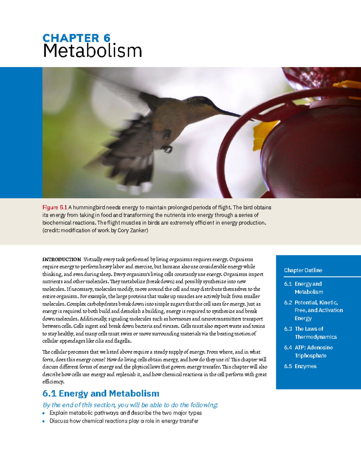 Chapter 6 Metabolism Part 1 - CHAPTER 6 Metabolism 6 Energy and ...