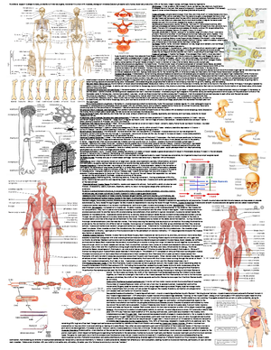 AP Integumentary System Study Guide 2022 - This is a sampling of ...