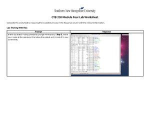 CYB 230 Module Five Lab Worksheet - CYB 230 Module Five Lab Worksheet ...
