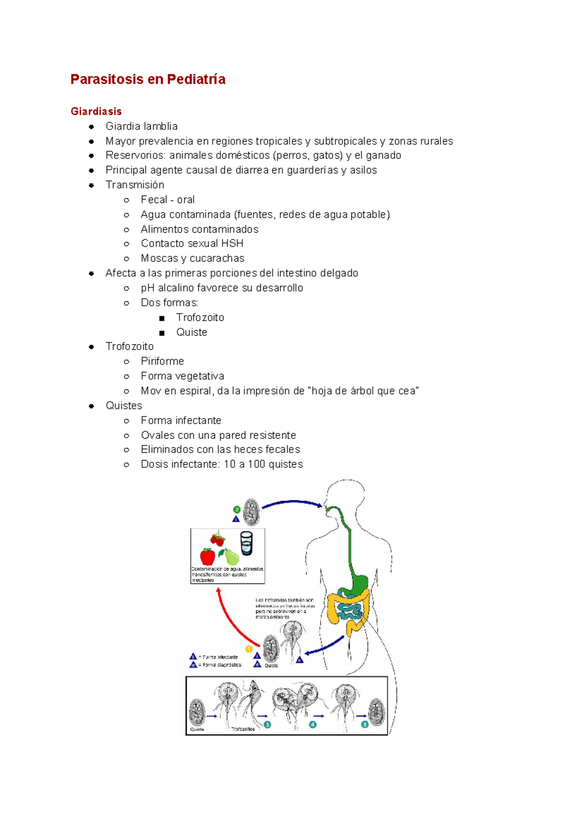Parasitosis en Pediatría - Parasitosis en Pediatría Giardiasis Giardia ...