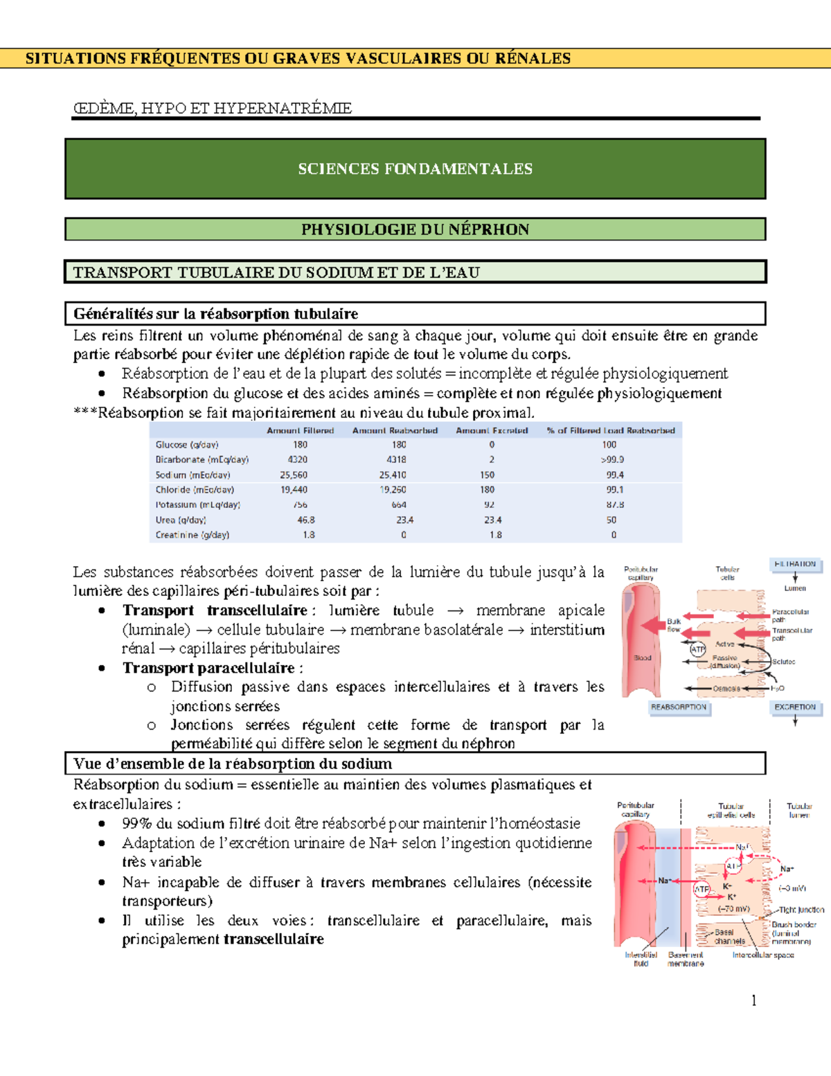 Oedème, hypo et hypernatrémie - ŒDÈME, HYPO ET HYPERNATRÉMIE SCIENCES ...
