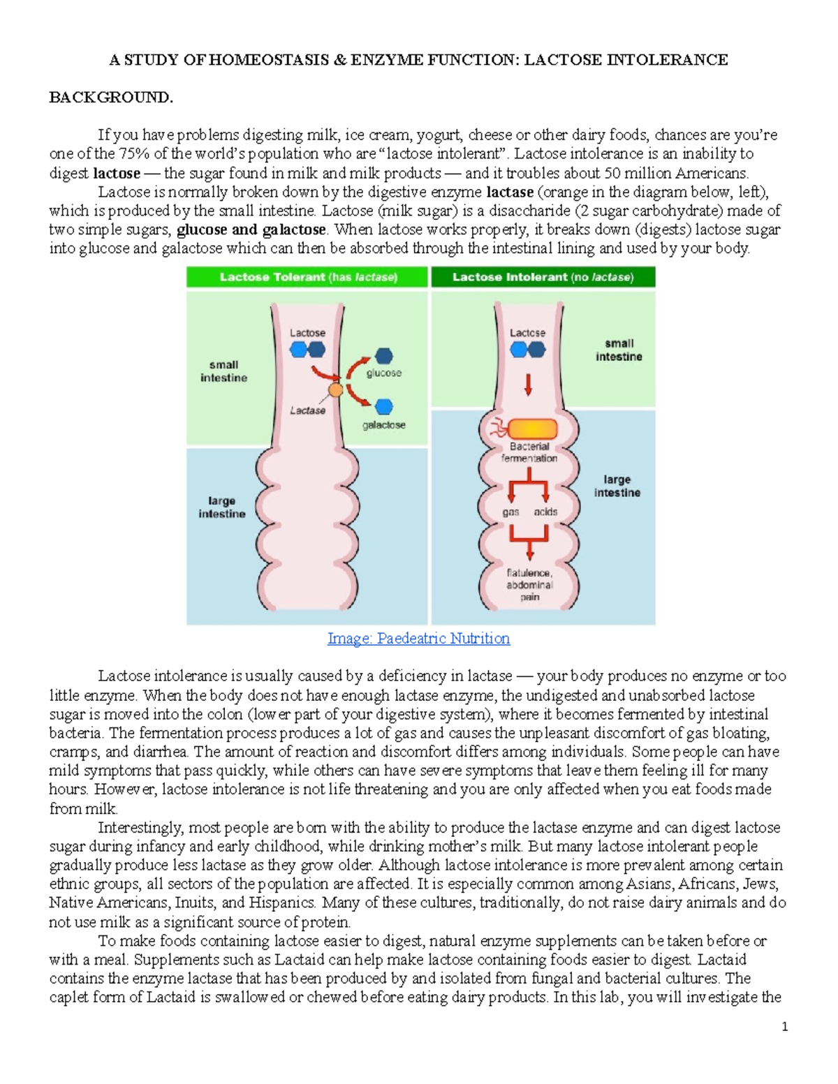 Lactase Lab Melissa - this is a lab they made us do - BIOL 002 - Studocu