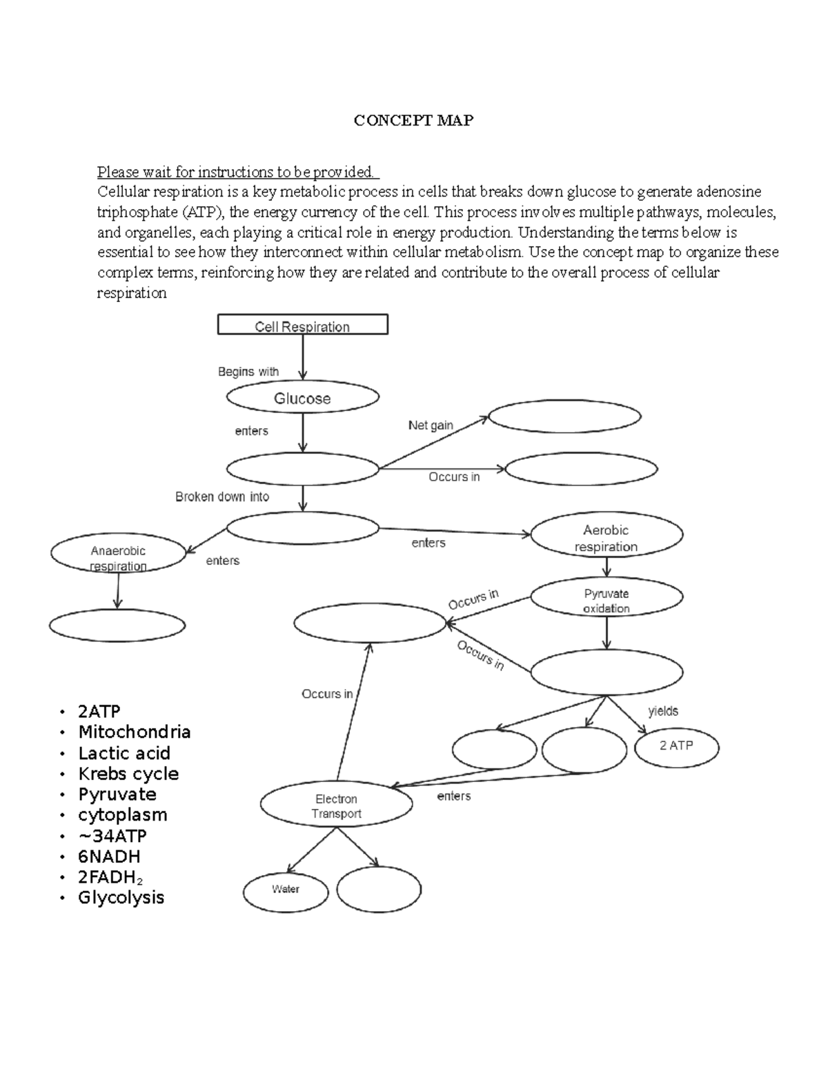 Concept map cellular respiration - Canvas Quiz - CONCEPT MAP Please ...