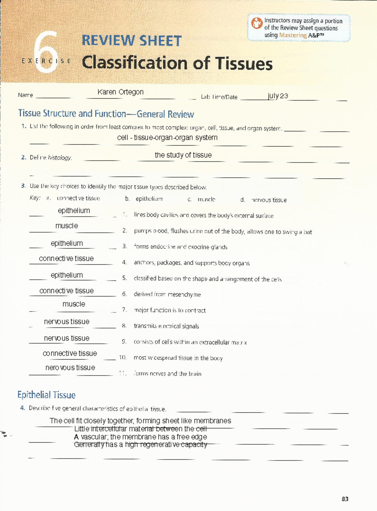 AP - Lab Ex. 06 review sheet chapter 6 classification of tissues - bio 211 - Studocu