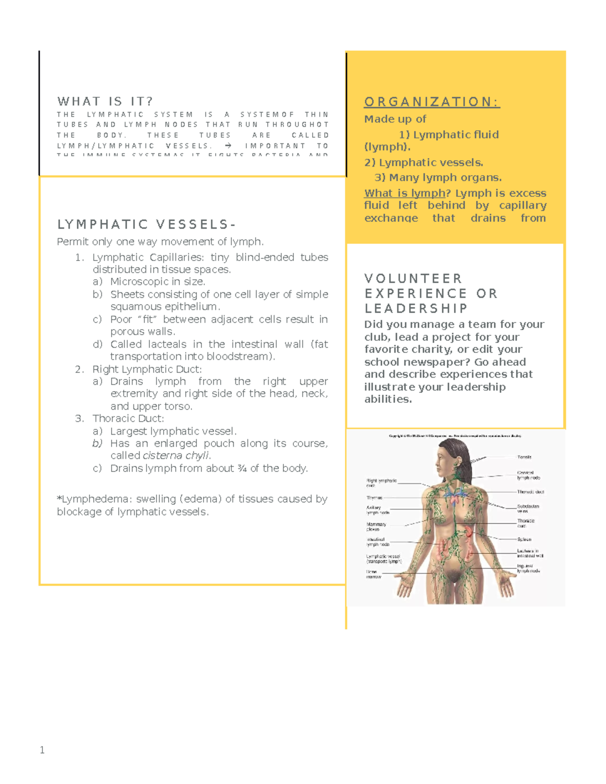 Lymphatic and immunity system notes - W H A T I S I T? T H E L Y M P H ...