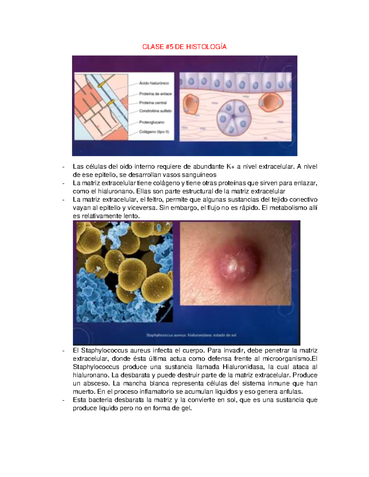 Clase #5 de Histologia - fasdfasdf afdsssssssssssssssssss ...