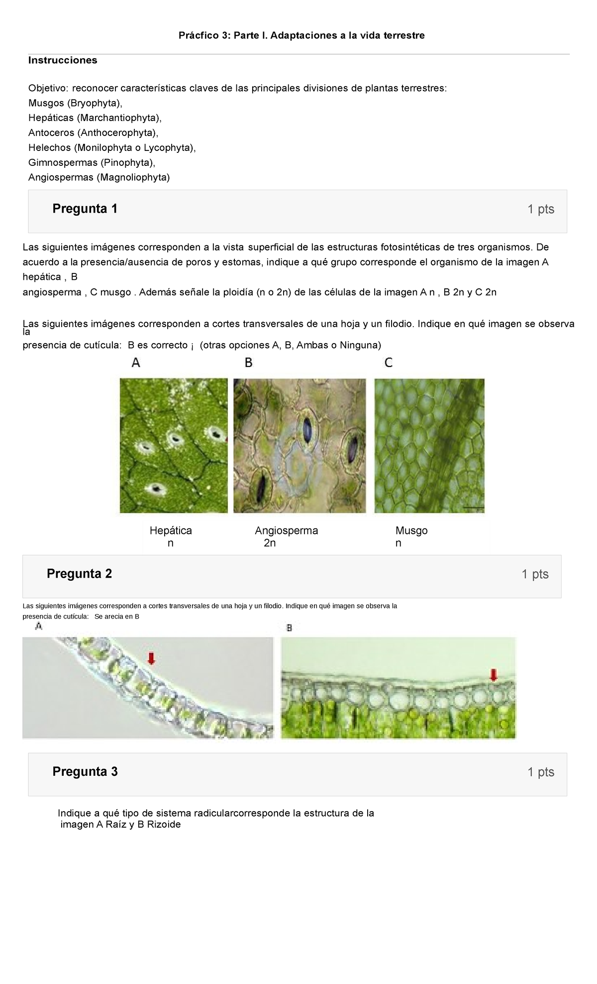 Práctico 3 Parte I. Adaptaciones a la vida terrestre Biologia y ...