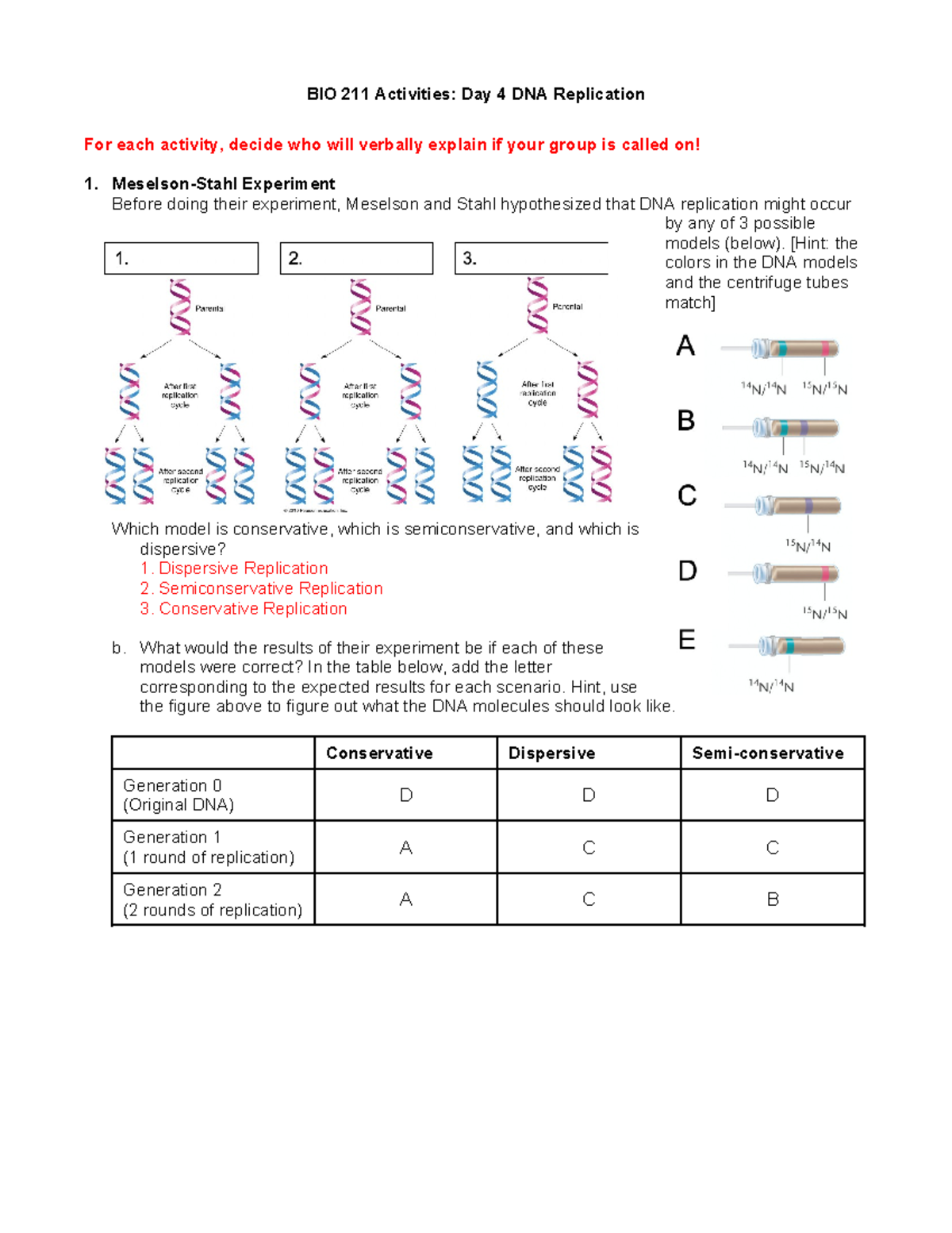 4-DNA Replication-post - BIO 211 Activities: Day 4 DNA Replication For ...