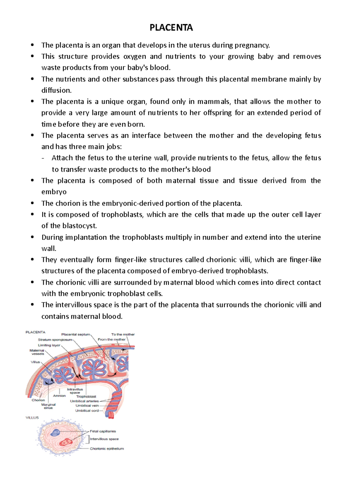 Placenta - regarding reproductive system - PLACENTA The placenta is an ...